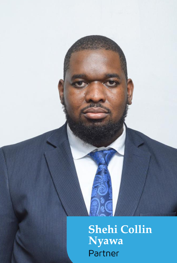 Meet The Team – Sky Advocates LLP